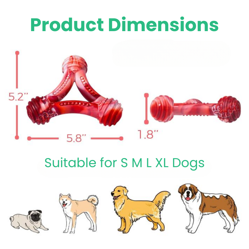 Enrichment Toys – Moiasun