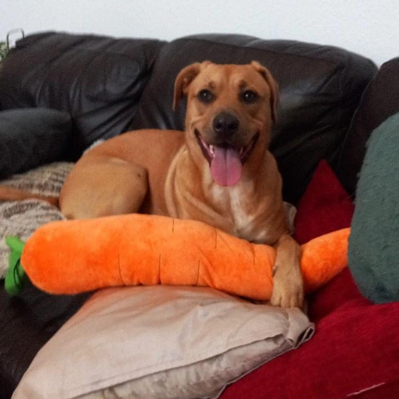 CuddleCarrot™ Giant Carrot Plush Toy – Moiasun