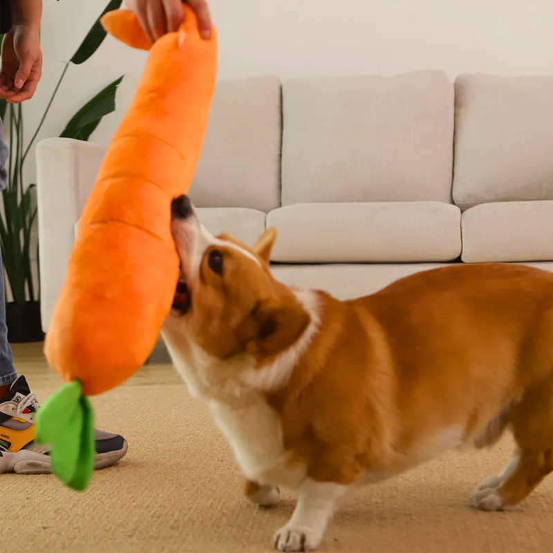 CuddleCarrot™ Giant Carrot Plush Toy – Moiasun