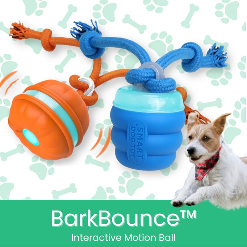 BarkBounce™ Automatic Dog Walker – Moiasun
