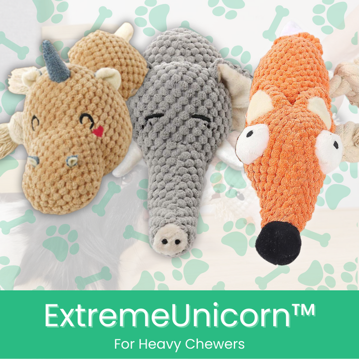 Enrichment Toys – Moiasun