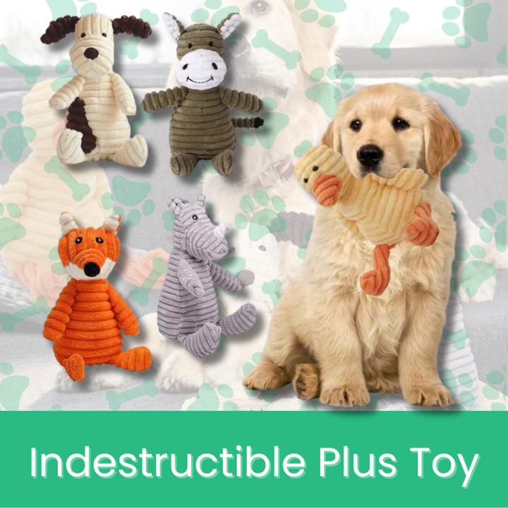 Enrichment Toys – Moiasun